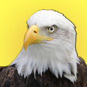 Texas Auditors - Constitutional News Network