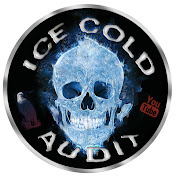 California Auditors - Constitutional News Network